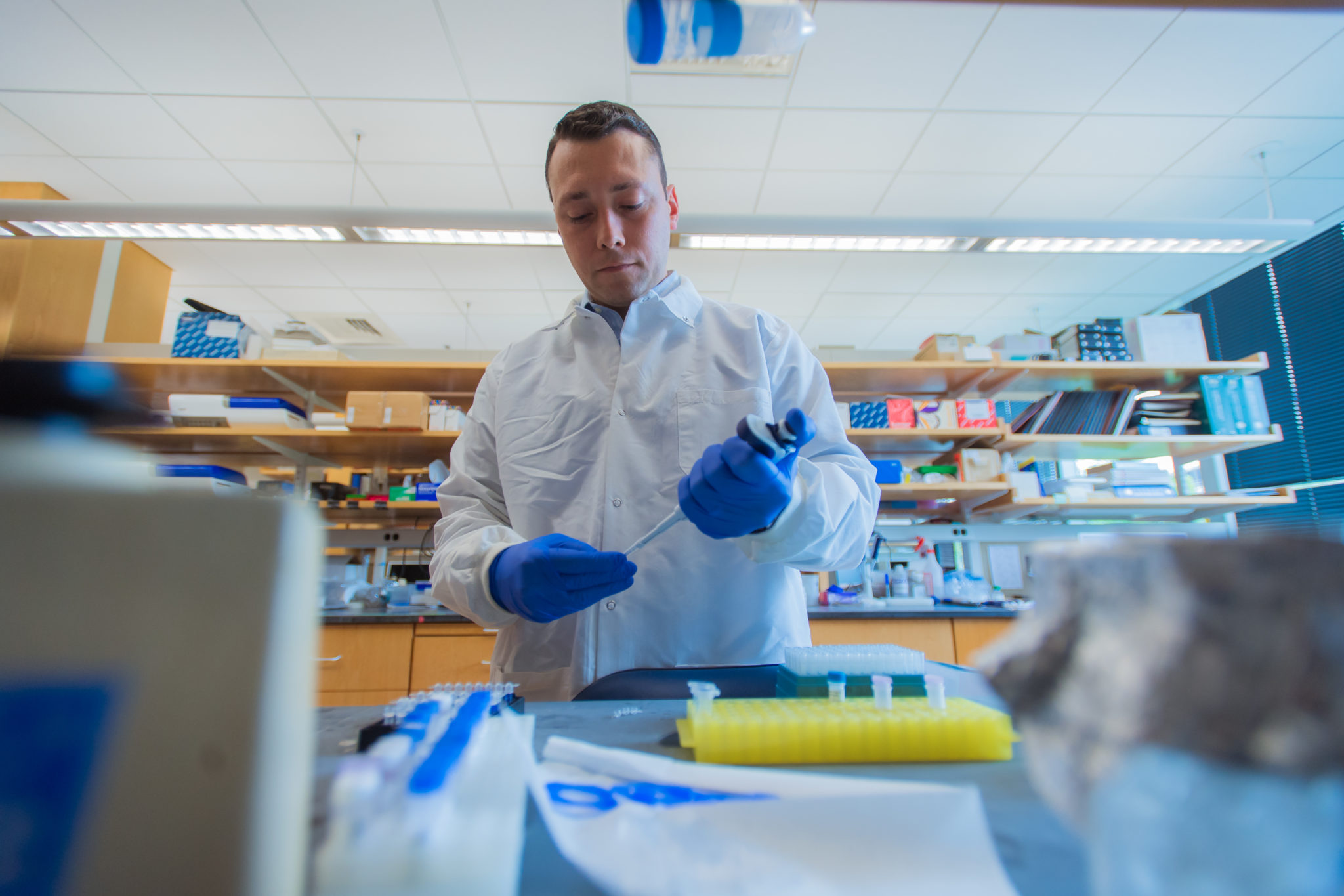 Seidman Lab | HMS GENETICS – Harvard Medical School | Department of ...