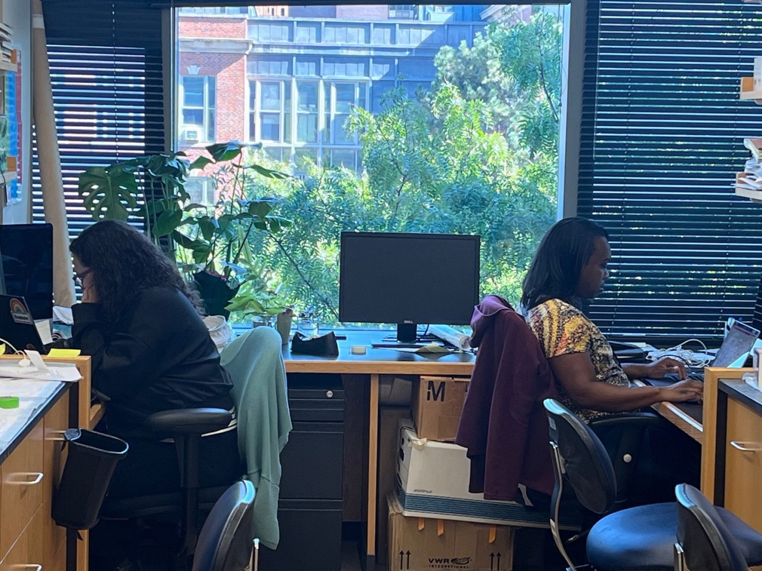 Seidman Lab | HMS GENETICS – Harvard Medical School | Department of ...